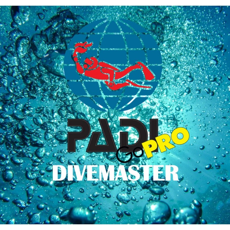DIVEMASTER | Start din professionelle PADI karriere her!