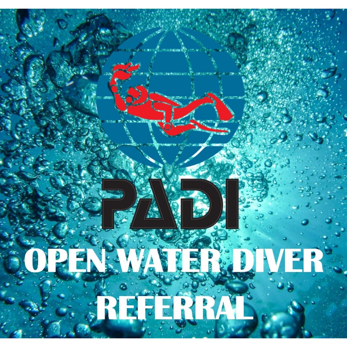 PADI OPEN WATER DIVER REFERRAL | Begynd din dykning i dag!